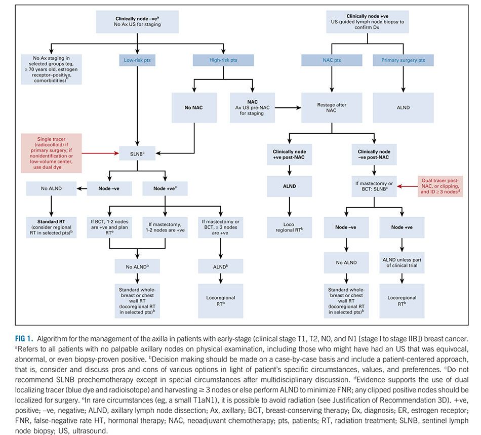 Breast Cancer Clinical Guidelines | Breast Cancer Surgery Melbourne, VIC