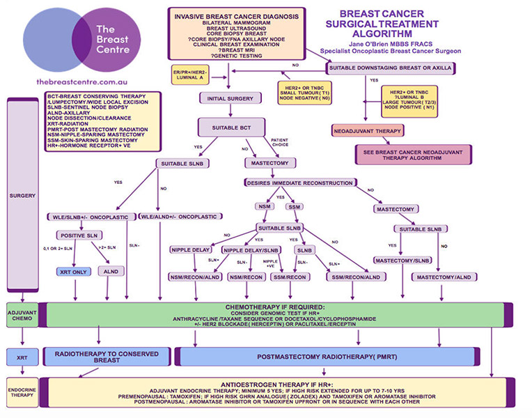 Breast Cancer Treatment Algorithms | Breast Cancer Surgery Melbourne, VIC Breast Cancer Treatment Algorithms | Breast Cancer Surgery Melbourne, VIC