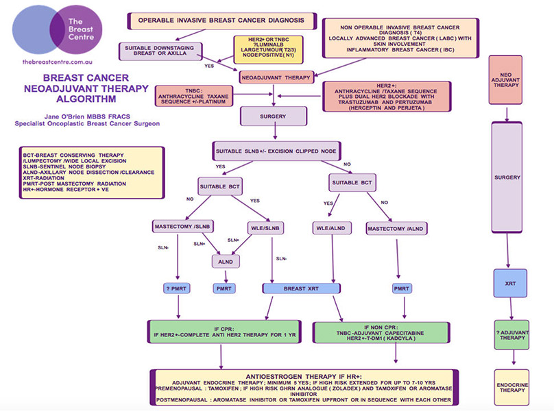 Breast Cancer Treatment Algorithms | Breast Cancer Surgery Melbourne, VIC Breast Cancer Treatment Algorithms | Breast Cancer Surgery Melbourne, VIC