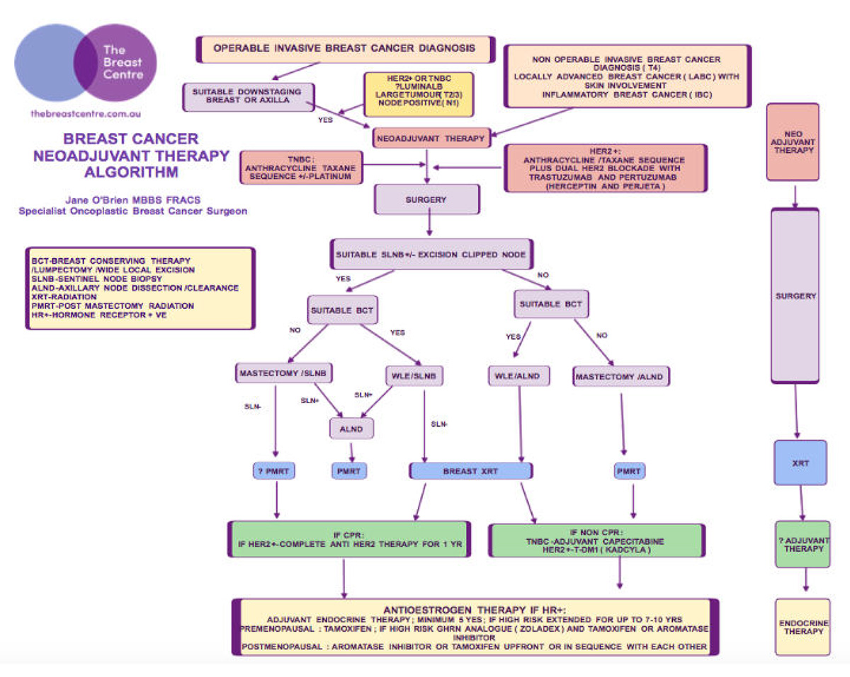 Neoadjuvant Therapy Melbourne, VIC | Breast & Oncoplastic Surgeon ...